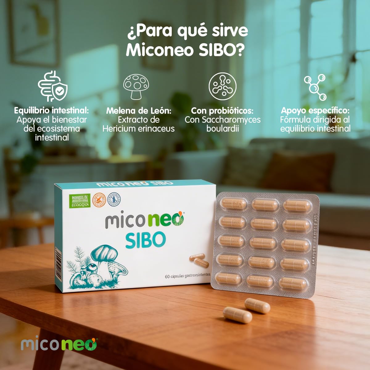 Mico Neo SIBO dietary supplement capsules