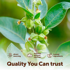Micro Ingredients Ashwagandha for better sleep