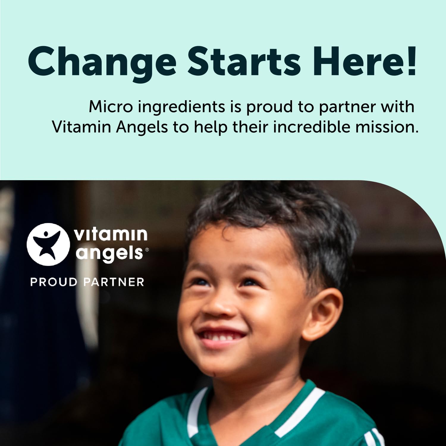 Micro Ingredients brain support vitamins