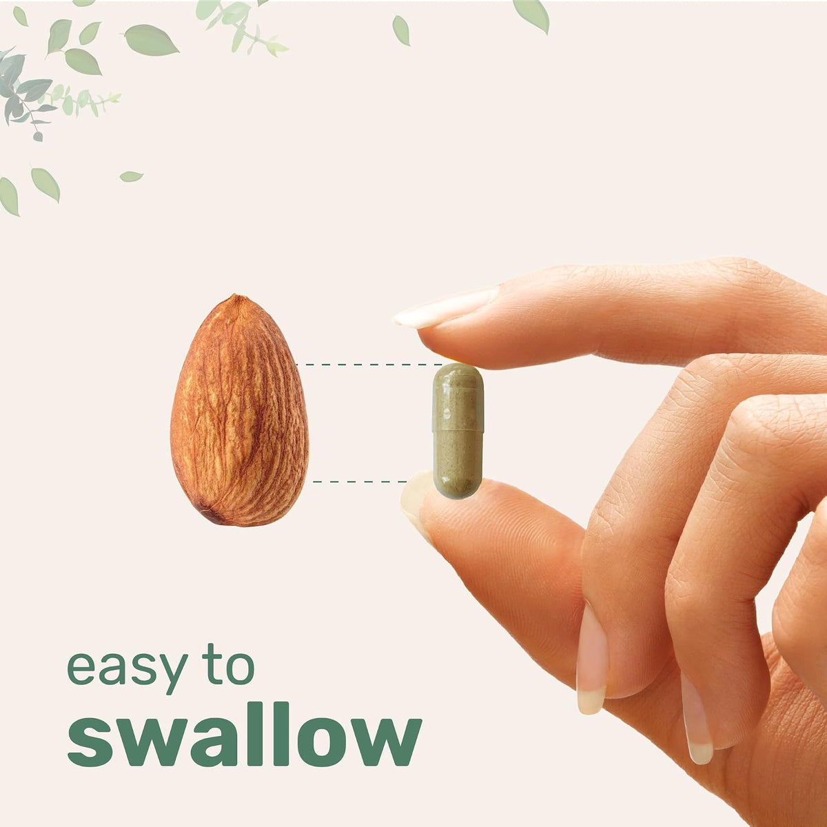 Micro Ingredients Resveratrol for healthy aging