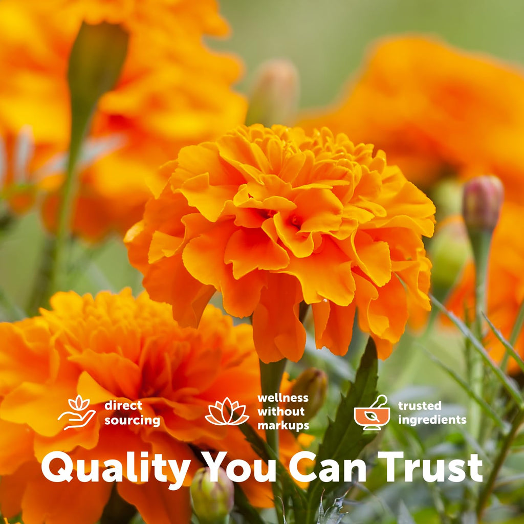 Micro Ingredients vitamin A for macular health