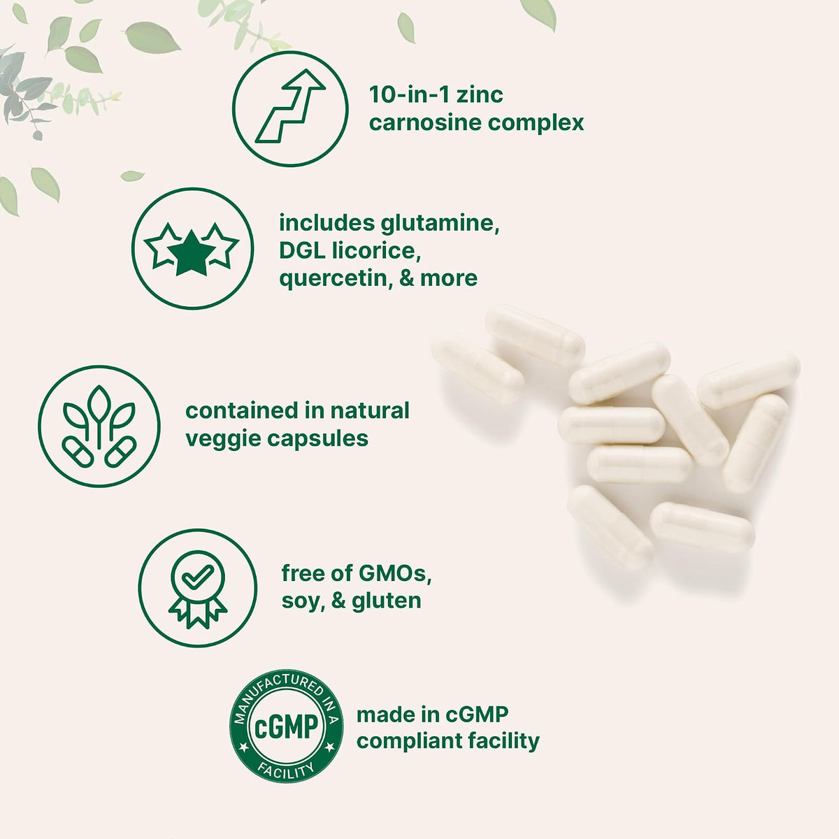 Micro Ingredients Zinc Carnosine supplement