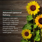 micro liposomal vitamin c supplement