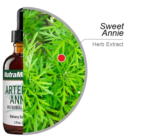 microbial support supplement for health