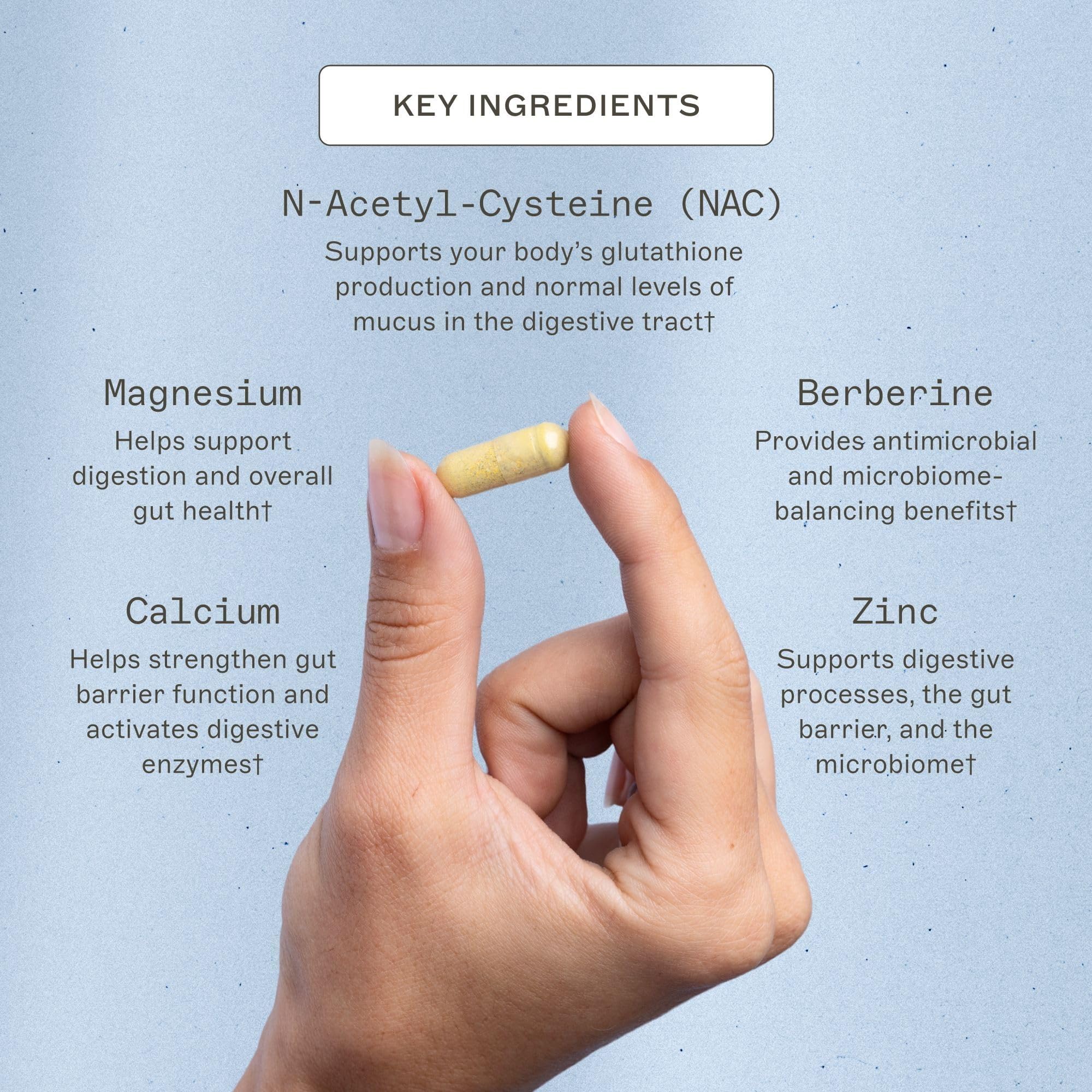 microbiome balance with Amy Myers MD