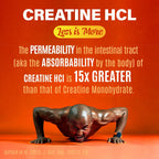 micronized creatine for athletes