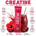 micronized creatine for better absorption