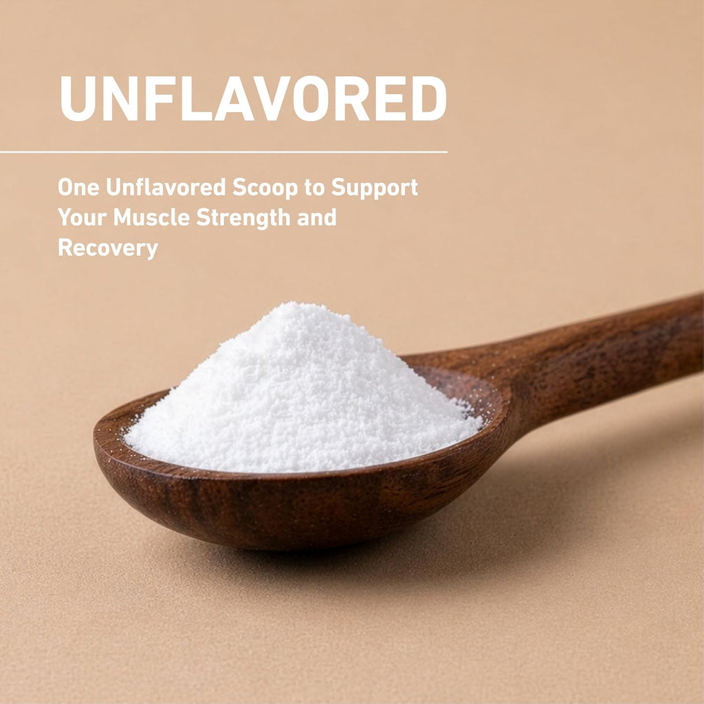 micronized creatine for better absorption
