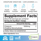 micronized creatine for better absorption