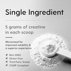 micronized creatine for better absorption