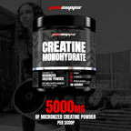 micronized creatine for better absorption