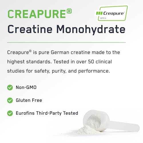 micronized creatine for better absorption