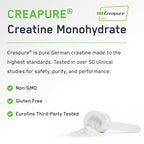 micronized creatine for better absorption