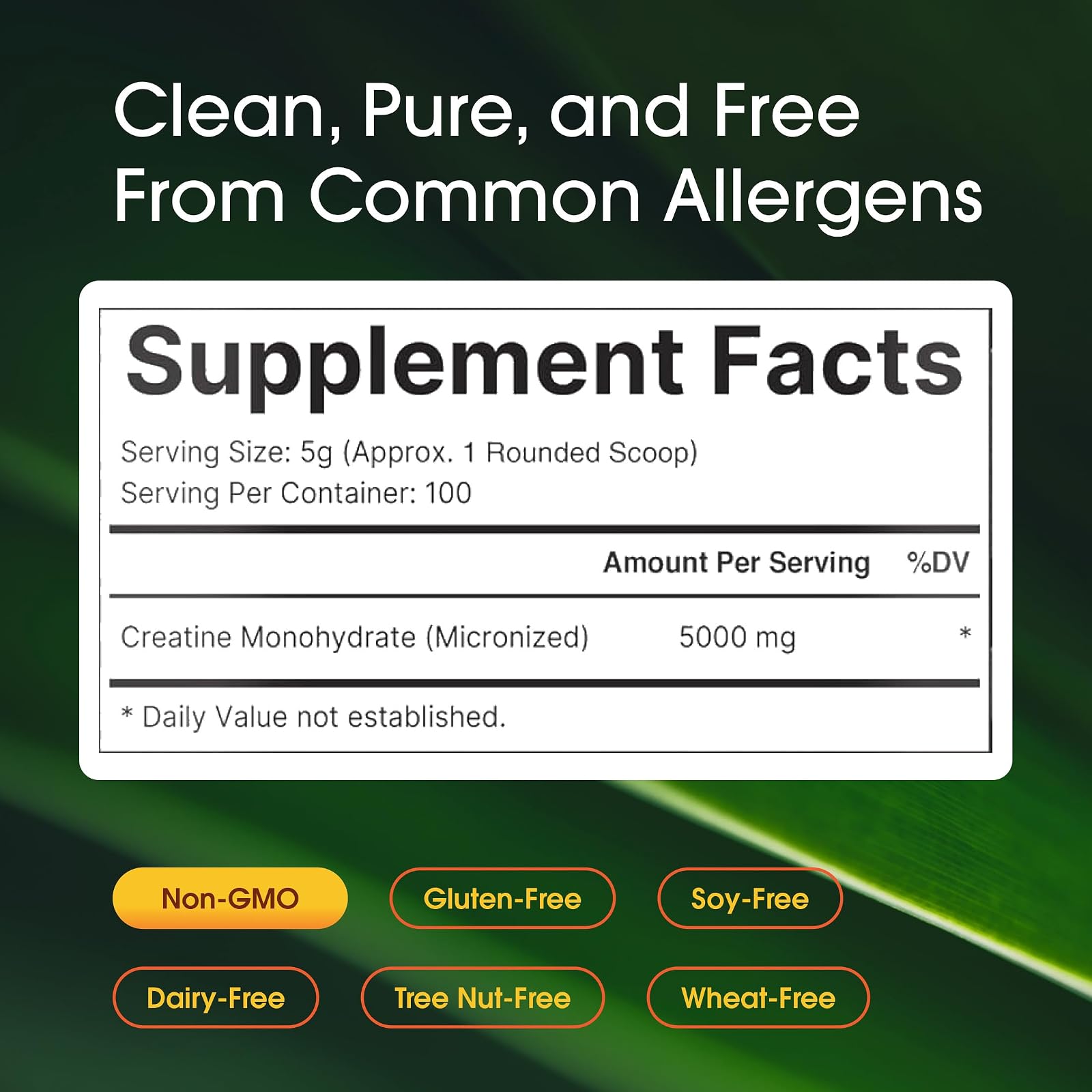 micronized creatine for better absorption