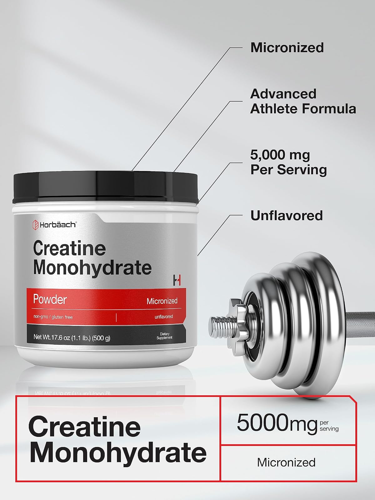 micronized creatine for better absorption