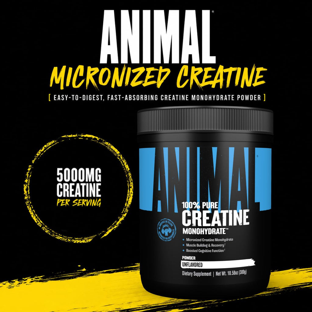 micronized creatine for better absorption