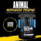 micronized creatine for better absorption