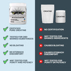 micronized creatine for better absorption