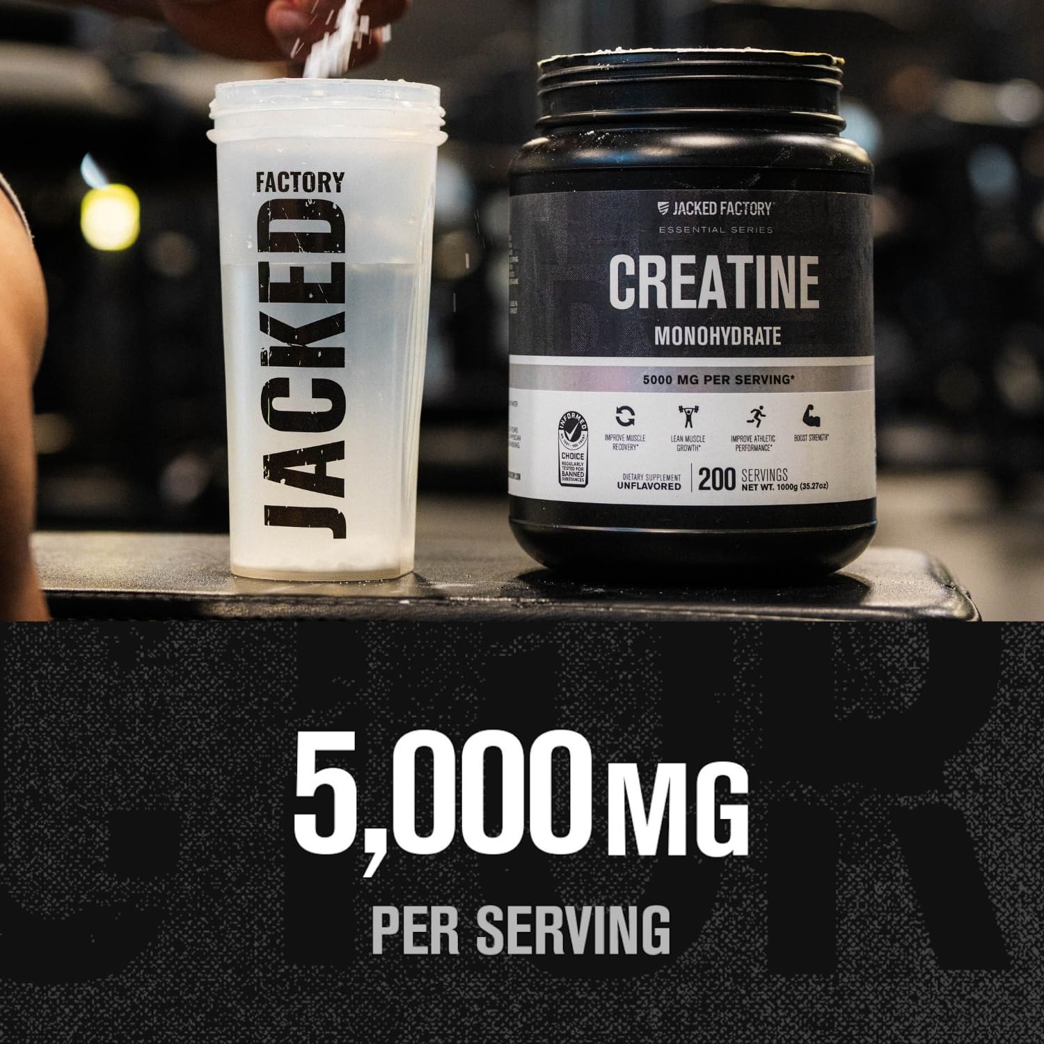 micronized creatine for better absorption