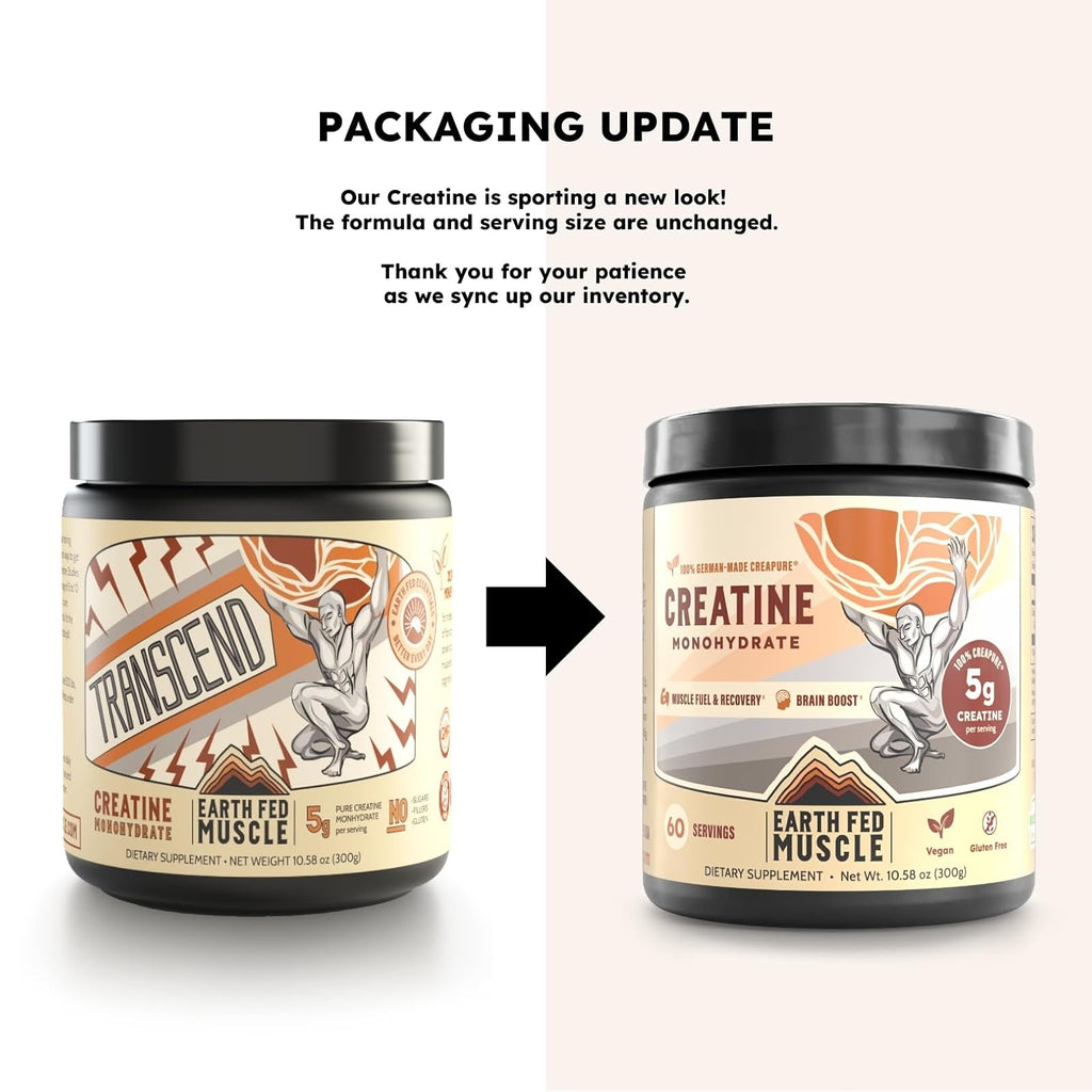 micronized creatine for better absorption