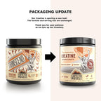 micronized creatine for better absorption