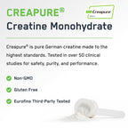 micronized creatine for better absorption