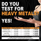 micronized creatine for better absorption