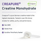 micronized creatine for better absorption