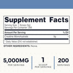 micronized creatine for better absorption