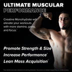 micronized creatine for better absorption