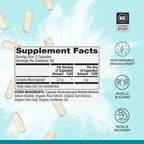 micronized creatine for better absorption