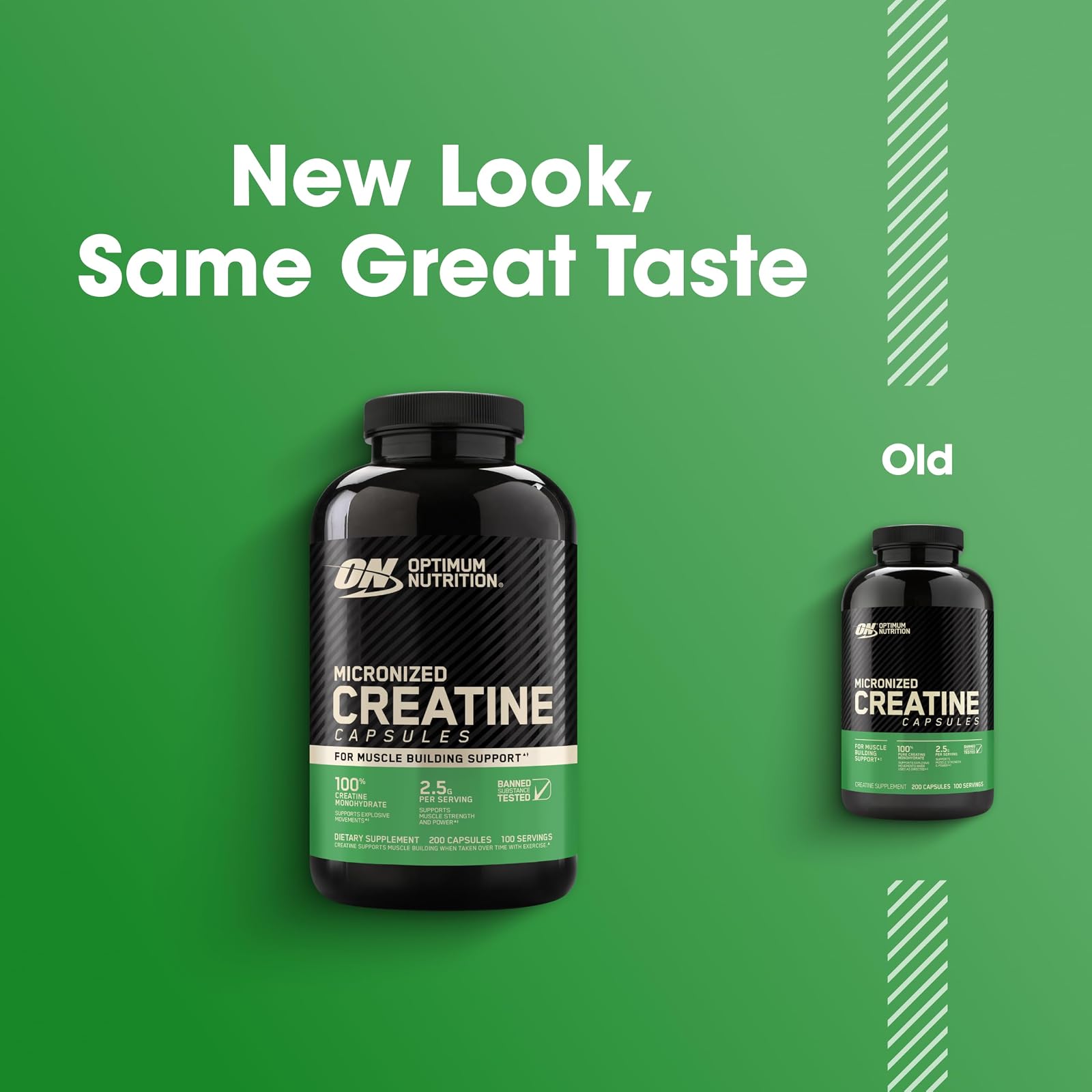 micronized creatine for better absorption