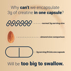 micronized creatine for better absorption