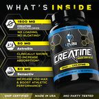 micronized creatine for better absorption