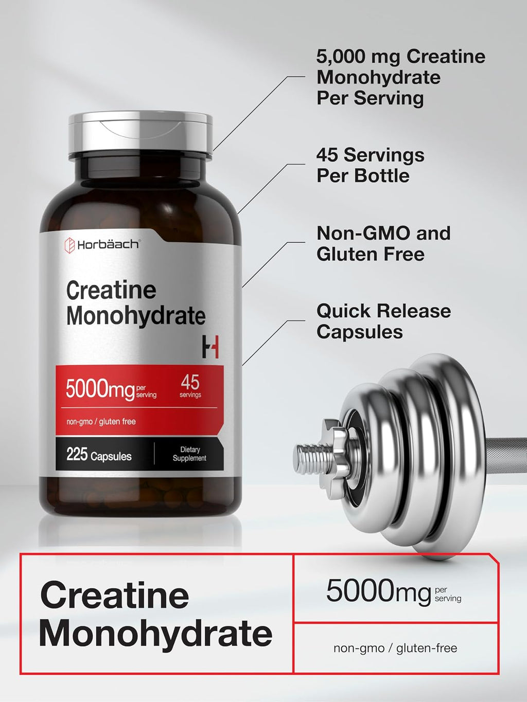 micronized creatine for better absorption