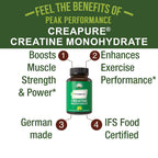 micronized creatine for better absorption