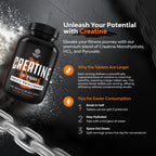 micronized creatine for better absorption