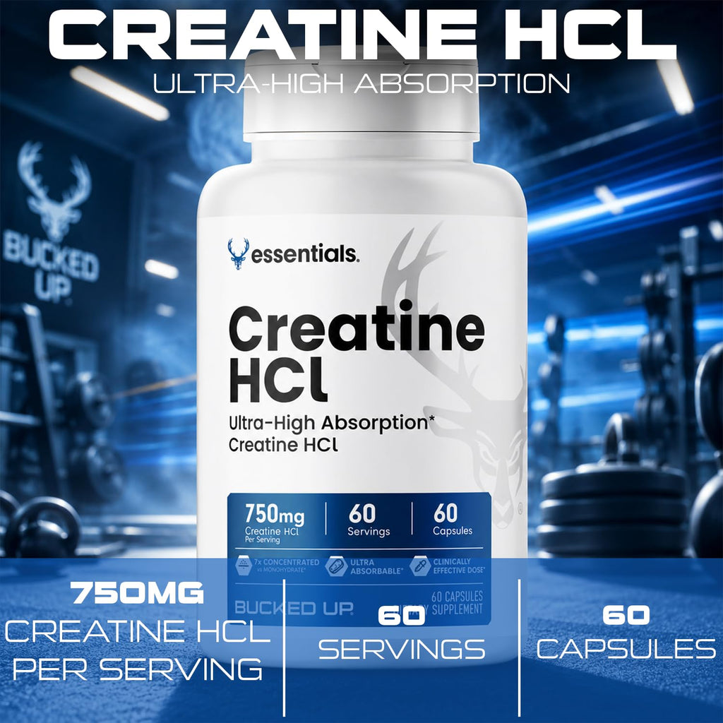 micronized creatine for better absorption