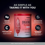 micronized creatine for better absorption