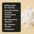 micronized creatine for better absorption