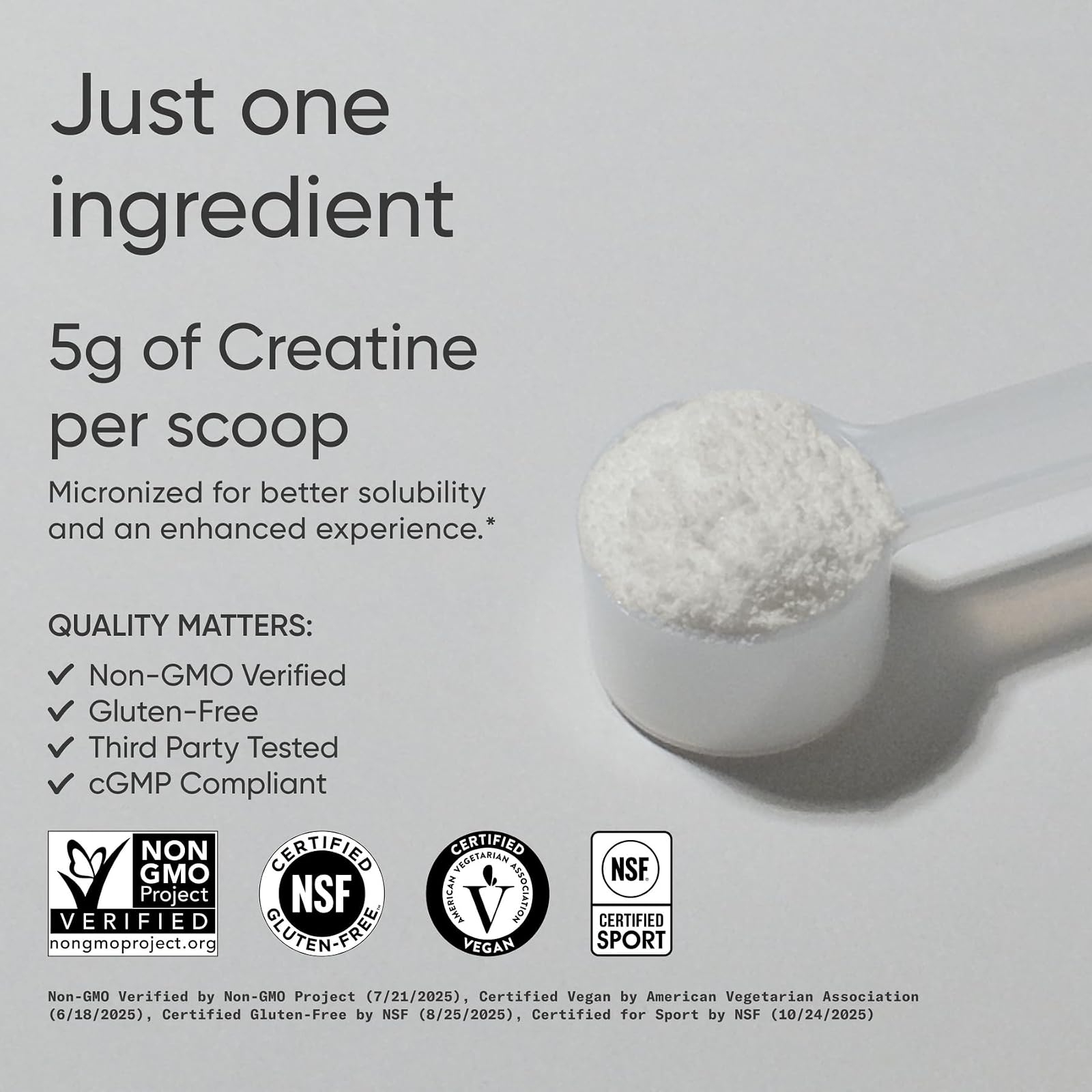 micronized creatine for better absorption