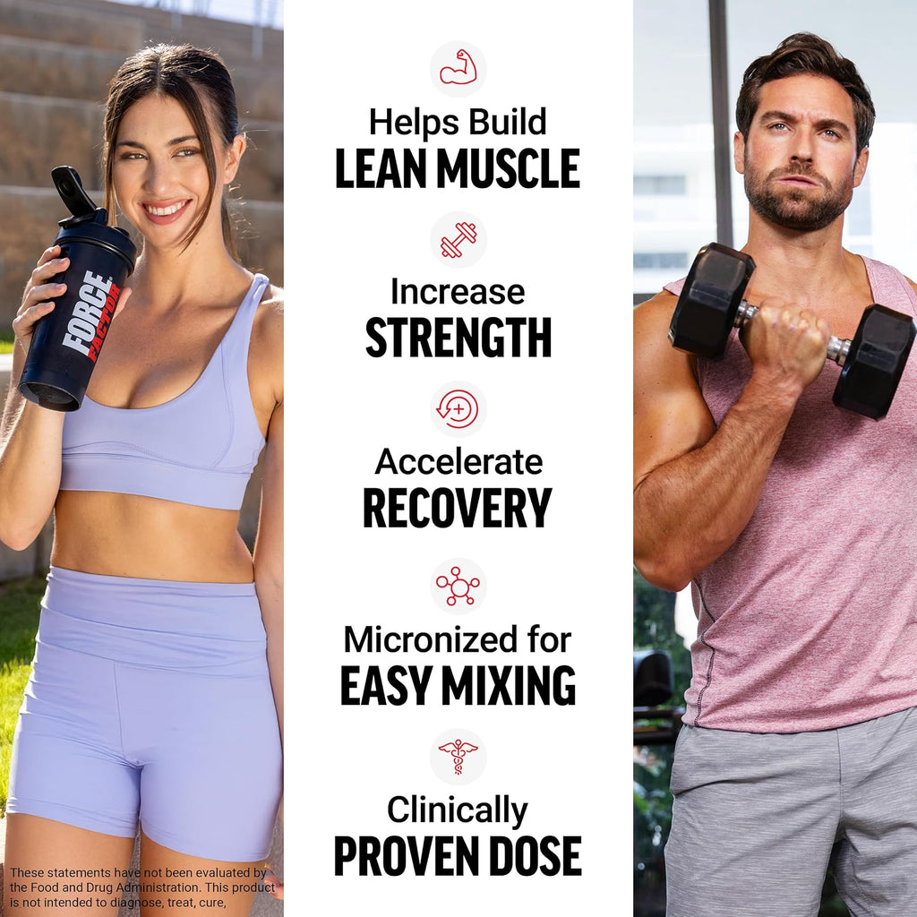 micronized creatine for better absorption