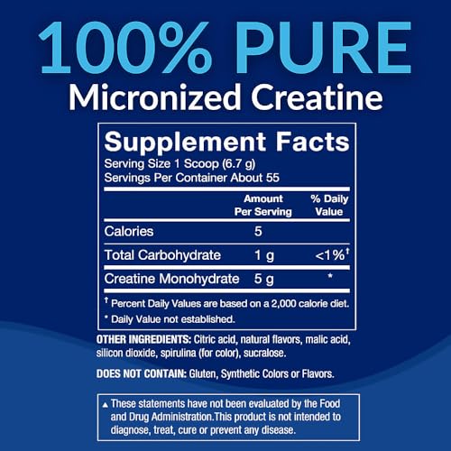 micronized creatine for better absorption