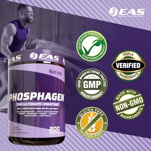 micronized creatine for better absorption