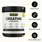 micronized creatine for better absorption