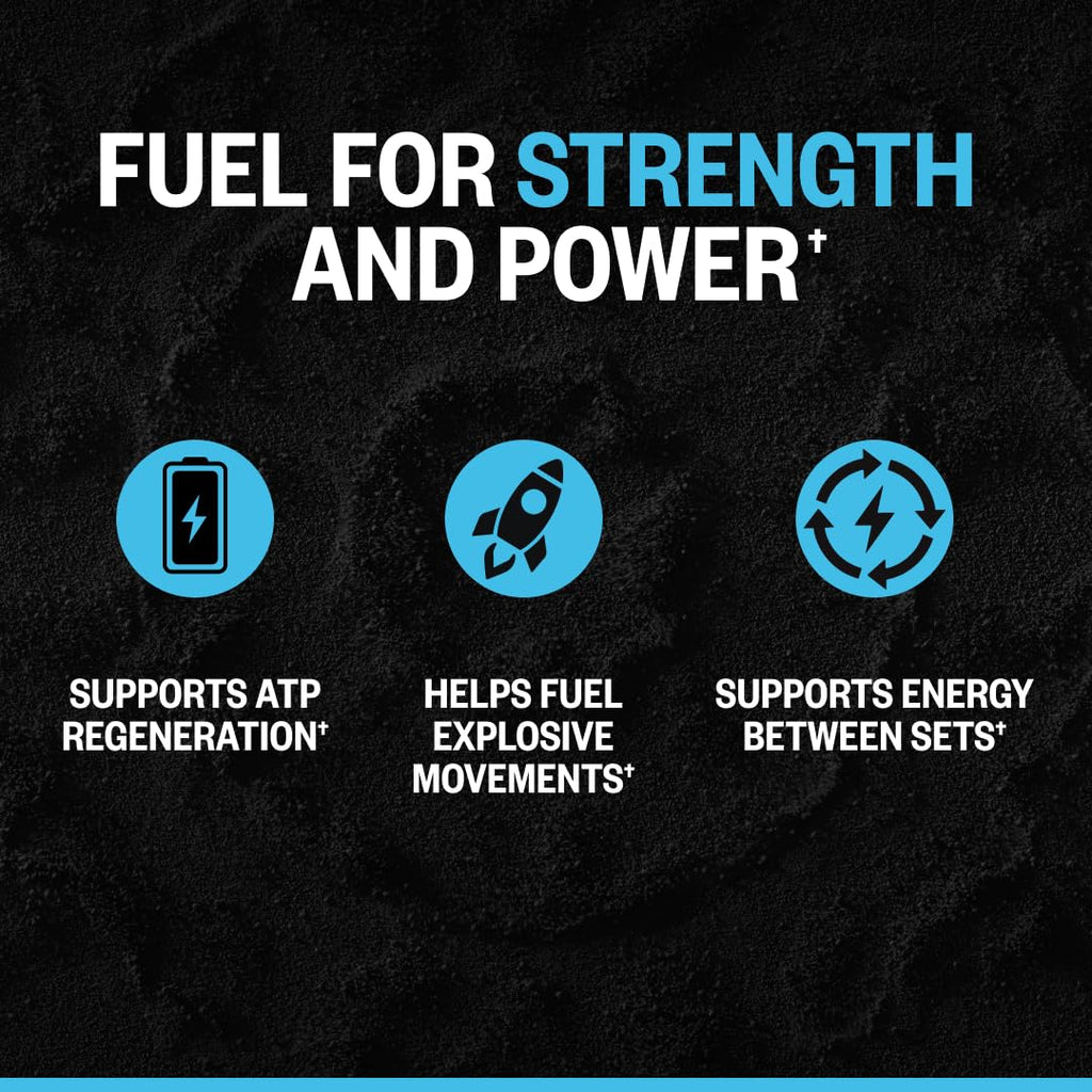 micronized creatine for better absorption