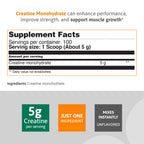 micronized creatine for better absorption
