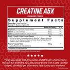 micronized creatine for better absorption