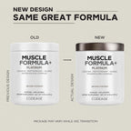 micronized creatine for better absorption