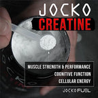 micronized creatine for better absorption